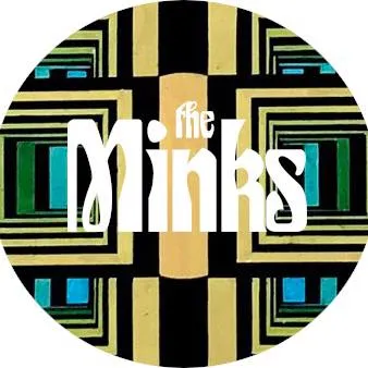 Concierto The Minks - 03/08/2024 - Chicago - Hideout - Estados Unidos